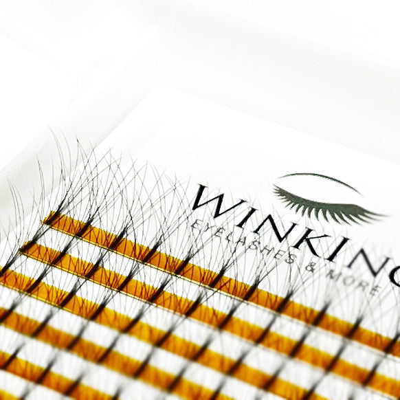 Premade Volume Fans - 7D – Westside Lashes (Formerly Shop Wink Inc)